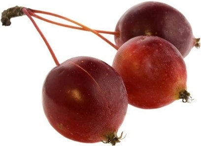 Ruby Red Crabapple | God's Country Wildlife Habitat Nursery & Supply, LLC